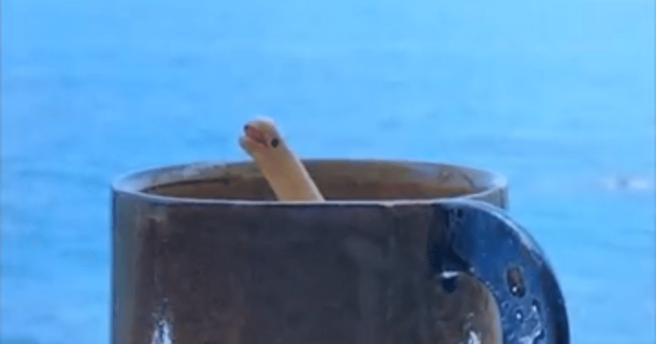 day93: 9月の新作動画配信！｜ウノヨウコ