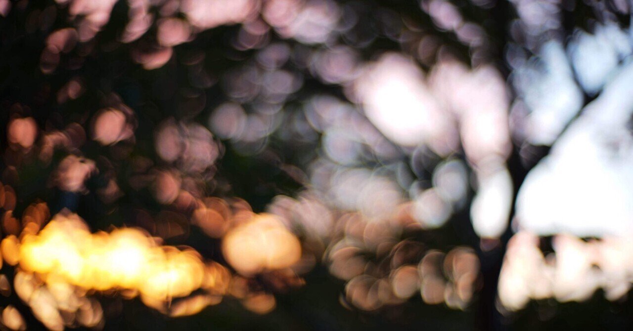 #12｜『諦め』はとても勇敢で愛のある選択｜shotaro -ライフコーチ-