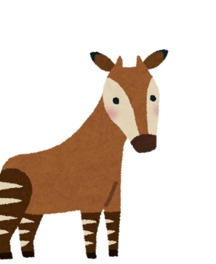 okapi｜note
