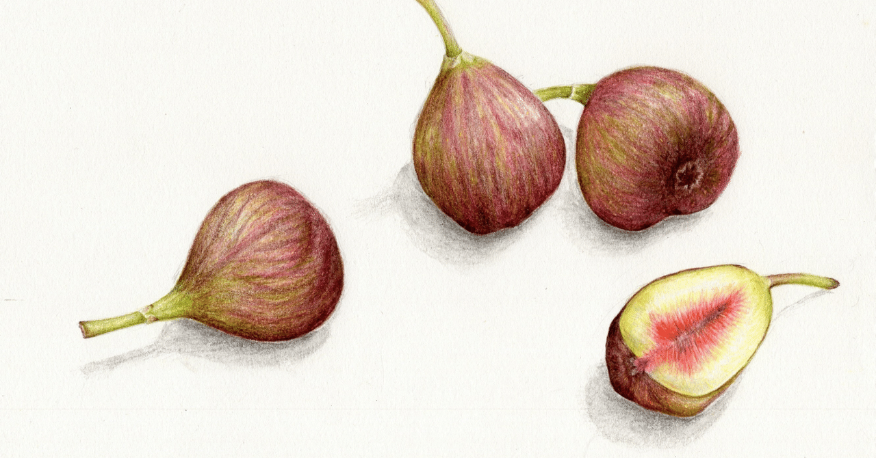 深夜にイチジクを食べながら｜Kote