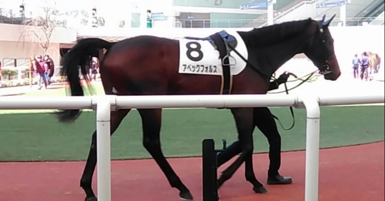 3/20（金）阪神4R 1番人気馬｜JRDB 競馬アラカルト｜note