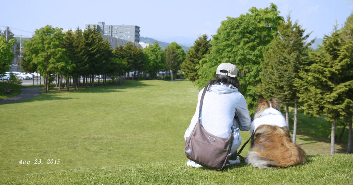 🫠寝不足の朝、湿度と気圧とクーと私｜Qoo’s Smile