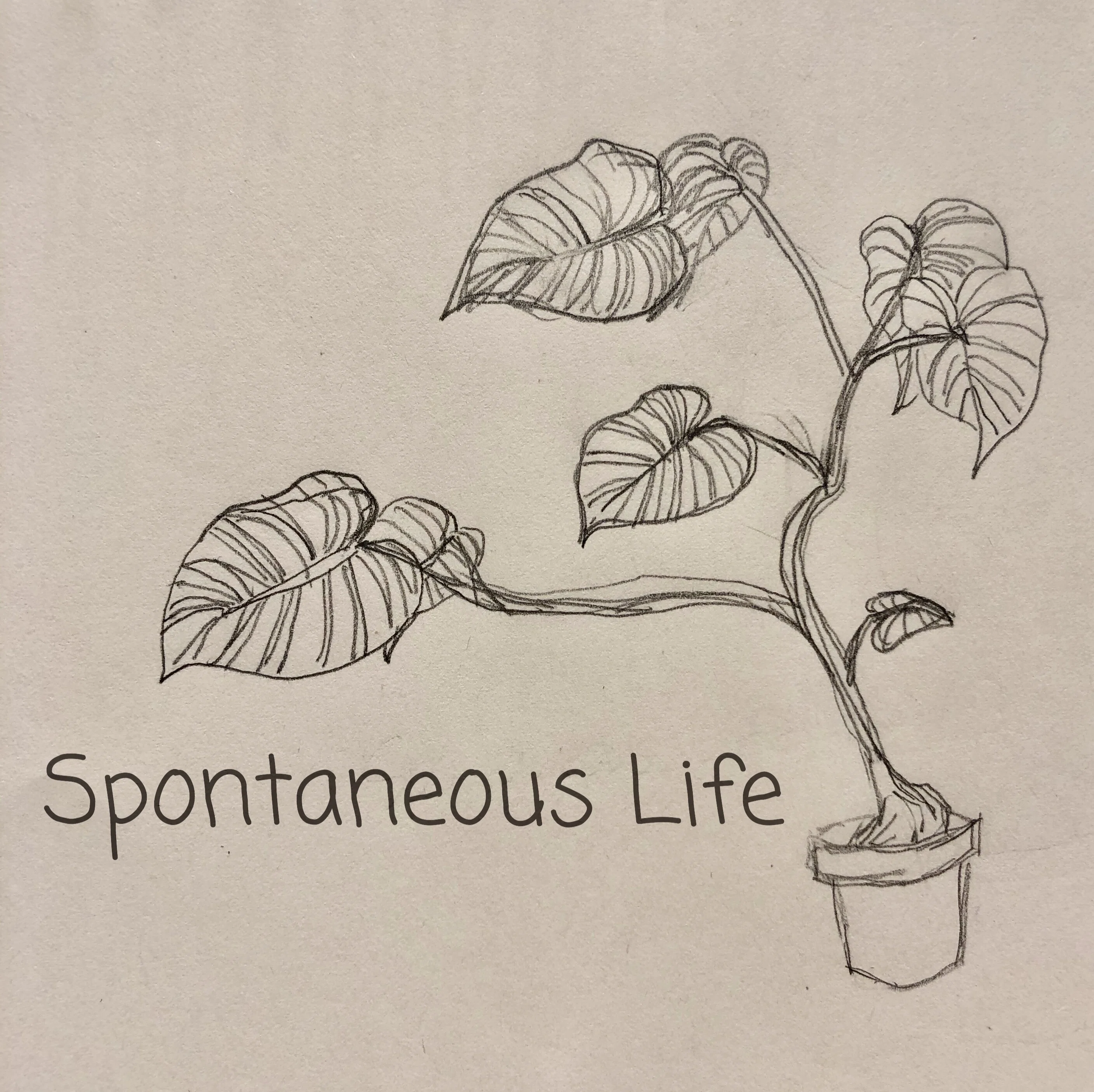 spontaneous life｜note