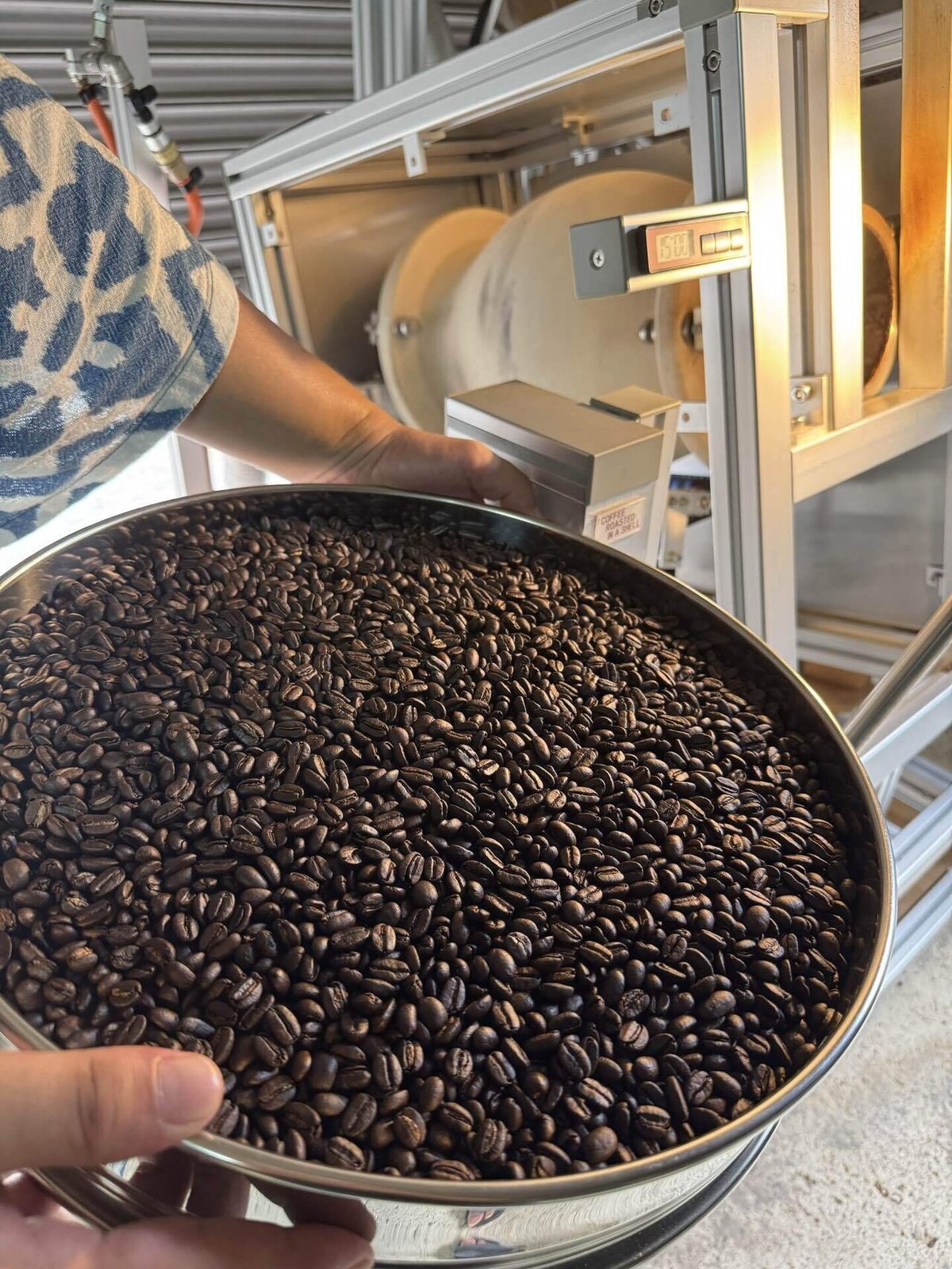 🎁 TSUBO COFFEE プレゼントキャンペーン ☕ ｜森本匡祗：TSUBO COFFEE