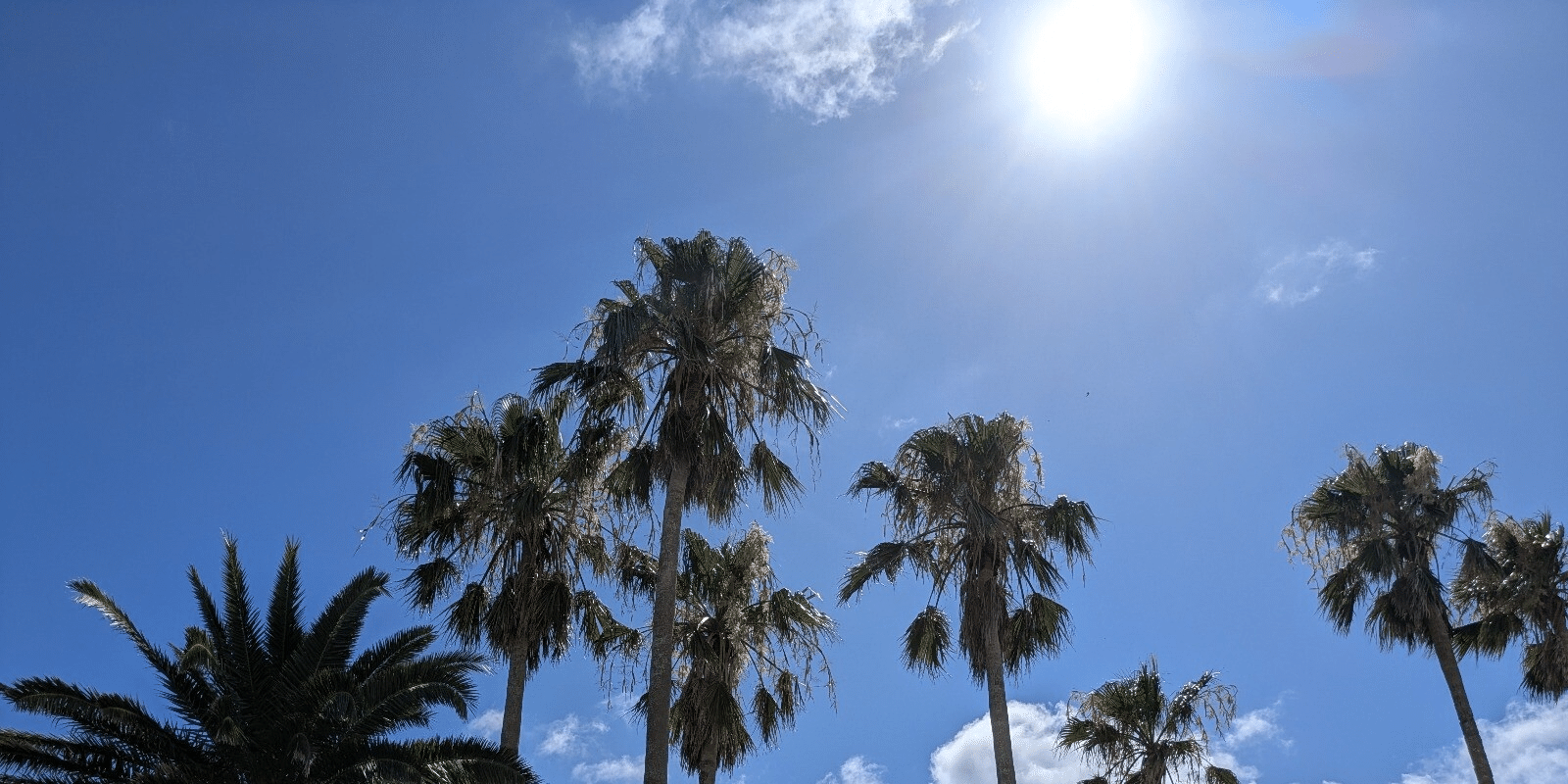 yuu_フォロバ100%｜note