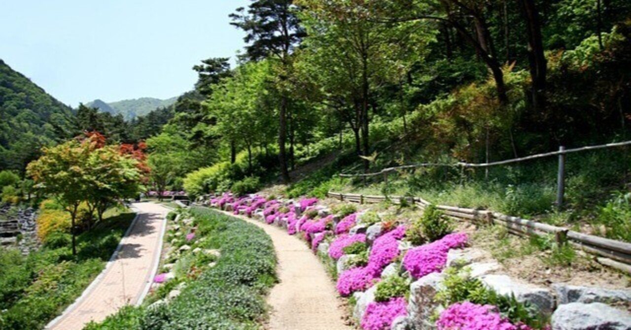 【C++17】パス文字列から「.txt」だけを安全に取り出す.extension()の使い方｜morinokabu