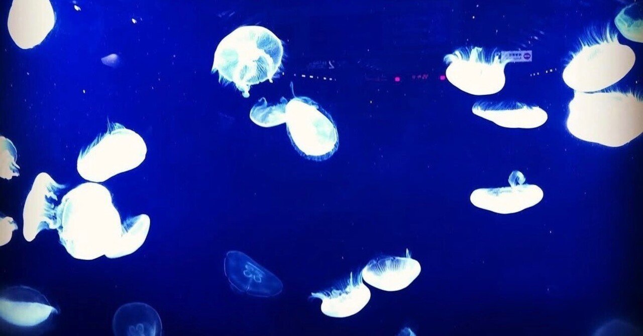 👐🏻 質の良い眠りへ〜レイキがくれる安心とリラックス〜 🌝🌚｜英澪（TetoKokoro）Reiki Healer／Reiki Master