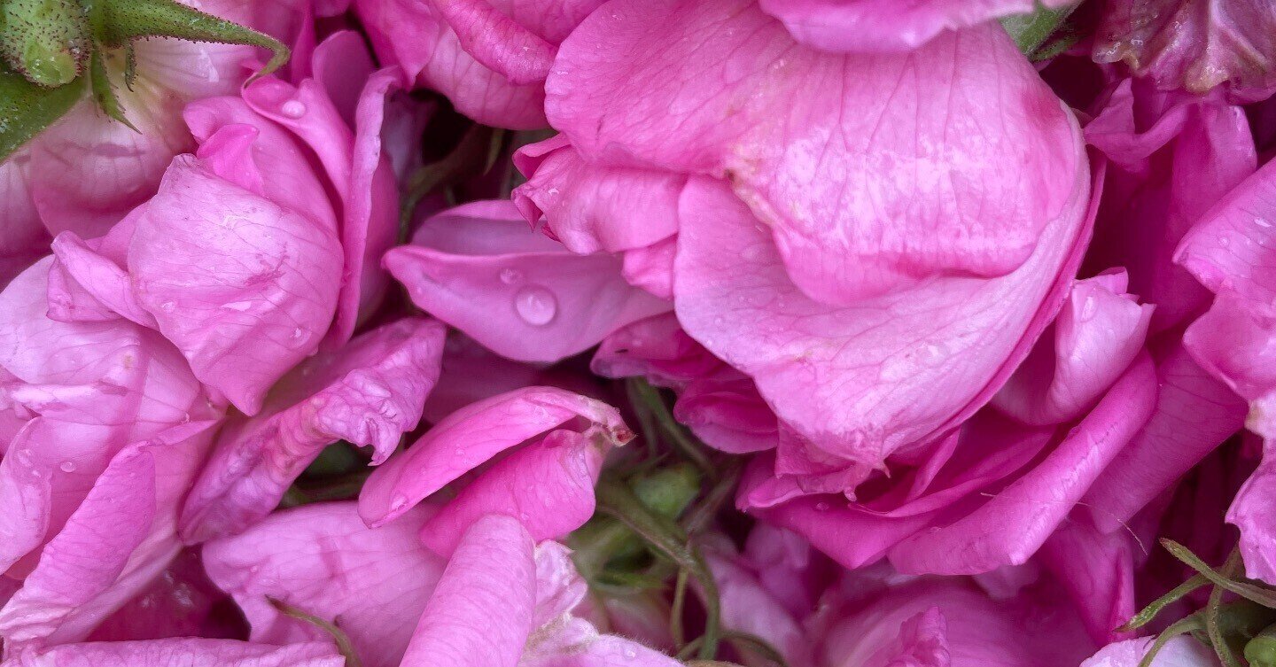 Yusuke Masuda / 増田 湧介｜note