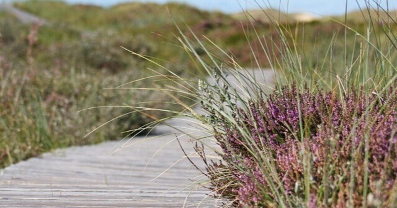 【C++17】ファイルパスを安全に、そして直感的に組み立てるstd::filesystem::path｜morinokabu