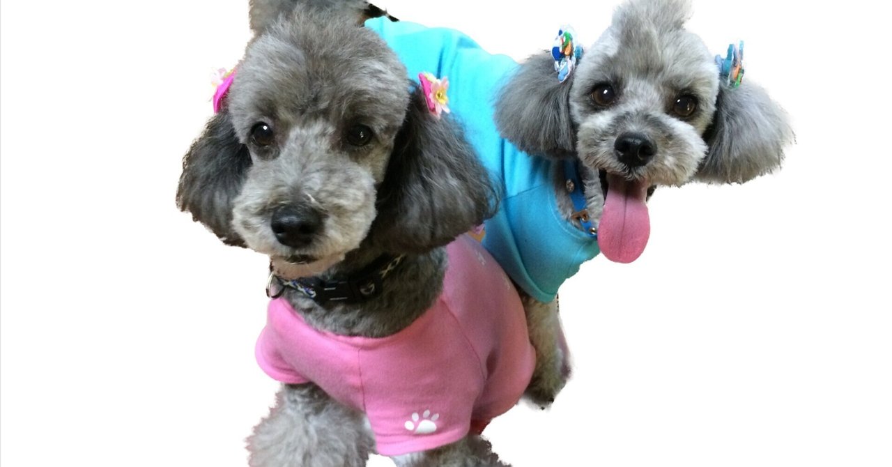 今の気持ち⑪～とても残念ですが～｜Shintaro