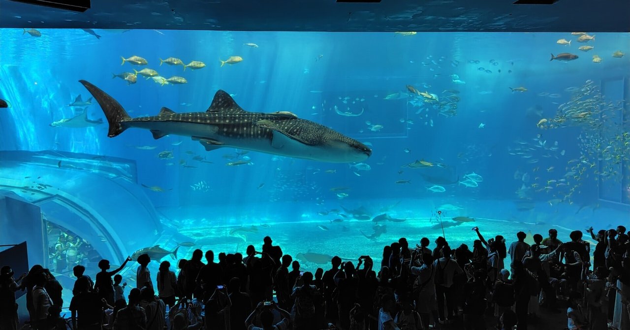 47番目の沖縄（その2）｜t-oshima