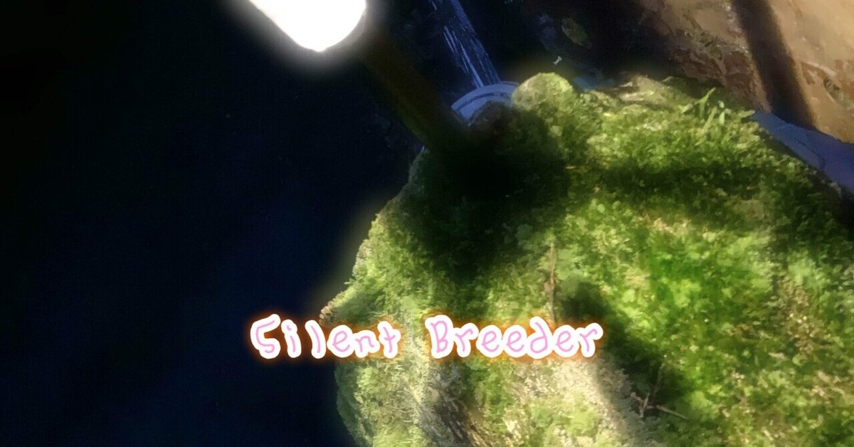 noteってどういうところ？｜Silent Breeder