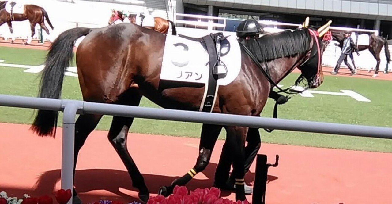 3/21（土） 阪神6R 1番人気馬｜JRDB 競馬アラカルト｜note