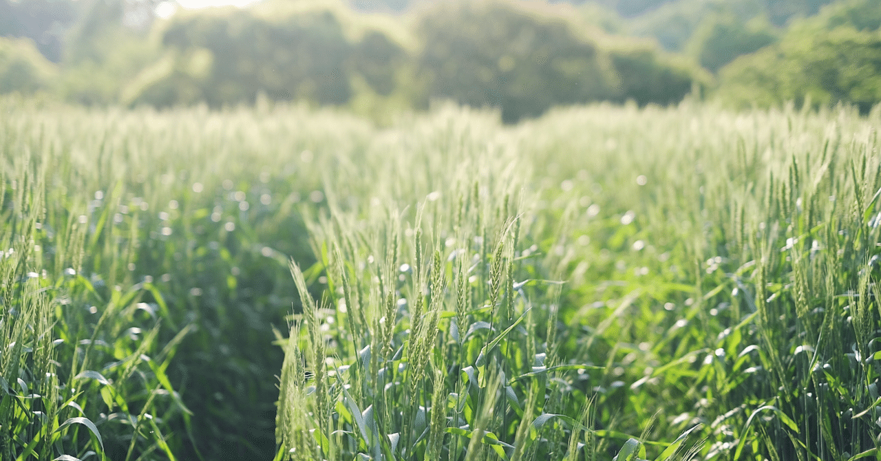 国内旅行とLCC利用時の返金対応はどう選ぶべき？｜旅する手のひら