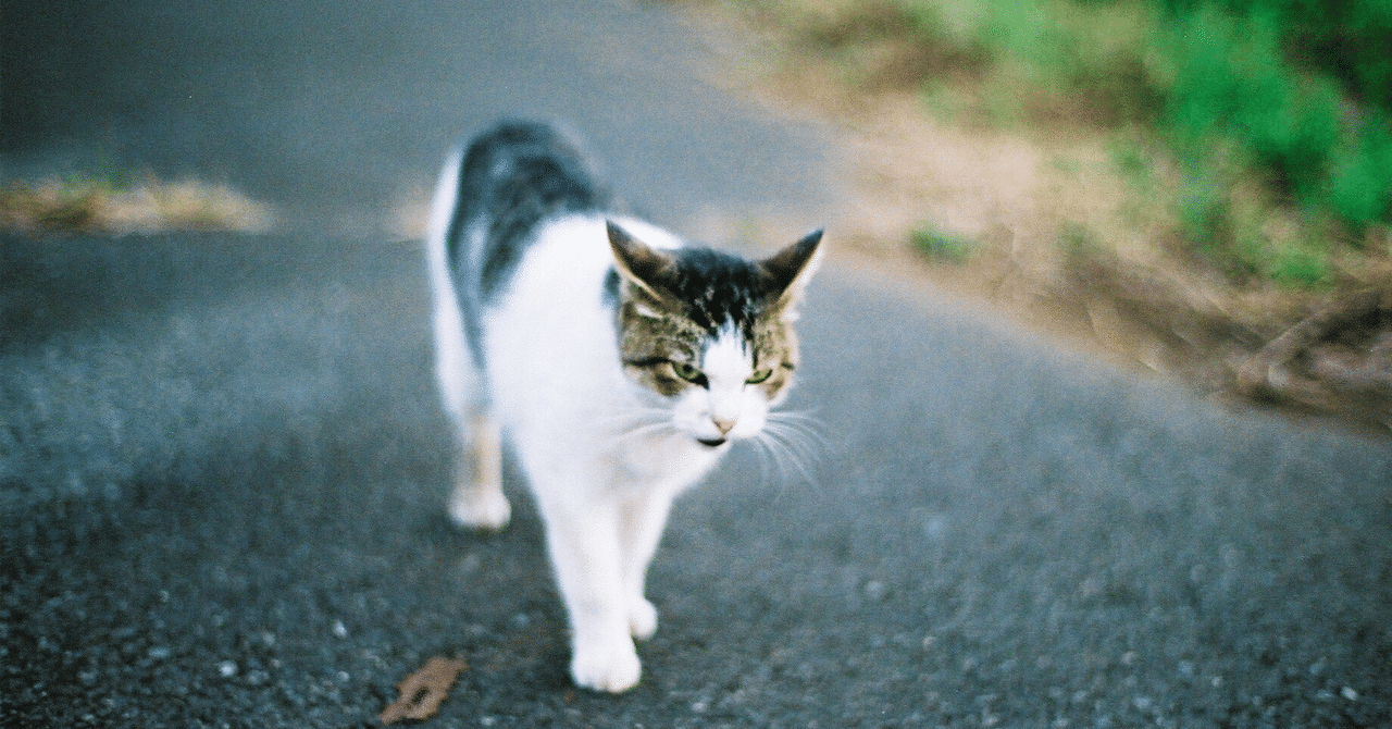9/1(月)〜9/5(金)までの勉強日記を投稿します。㉟2025年｜MAKO Vlog 勉強日記