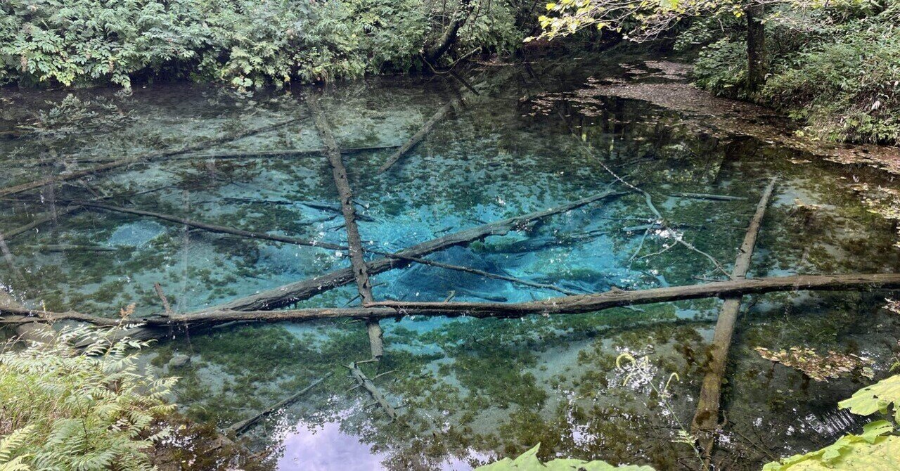 時を超えて紡がれる美しい営み｜soi：