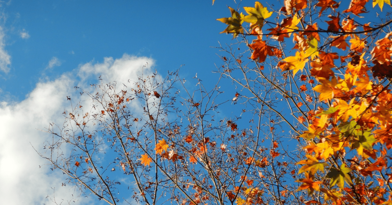 #楽譜ストア #あるあるチャンネル #楽譜 #懐メロ #MyMusicSheet MusicXml+WavSound #フルスコア #PDF #ダウンロード #PayPAY #クレカ決済 ...