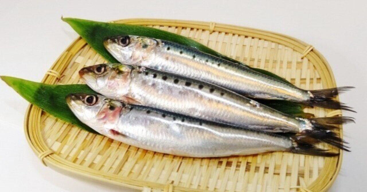 【コラム】いわし｜CHIZUKO i