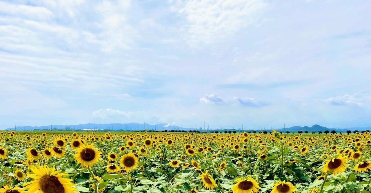 暑さを忘れた日｜masue_kousuke