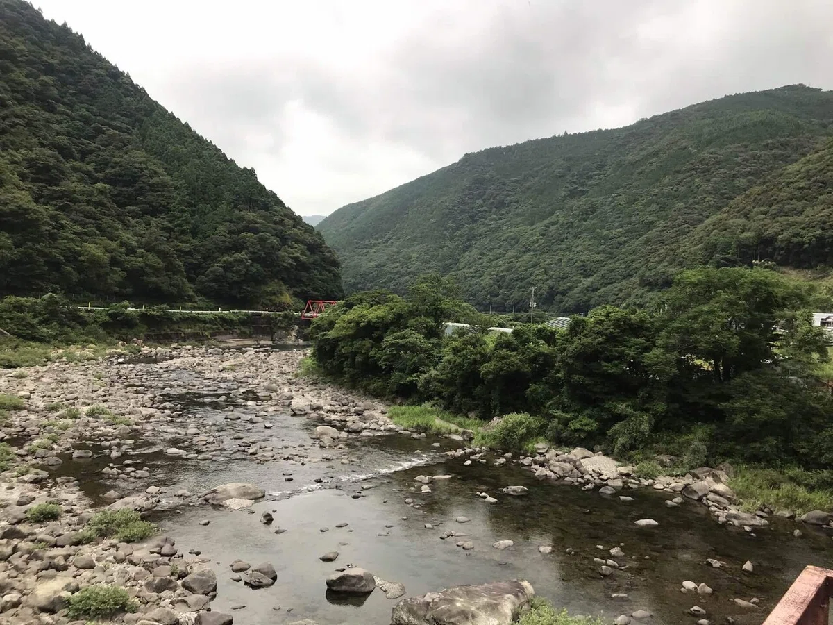 日本版「モネの庭」は、想像以上にモネの庭だった！（2025年8月、高知県北川村②〜徳島県①）｜ちろまき