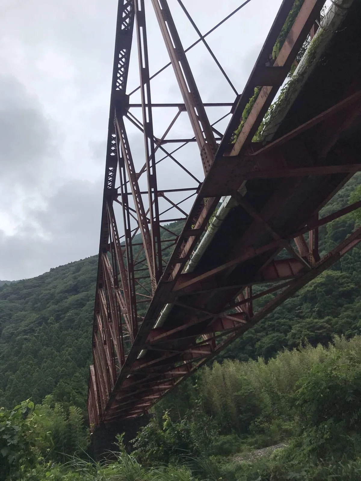 日本版「モネの庭」は、想像以上にモネの庭だった！（2025年8月、高知県北川村②〜徳島県①）｜ちろまき