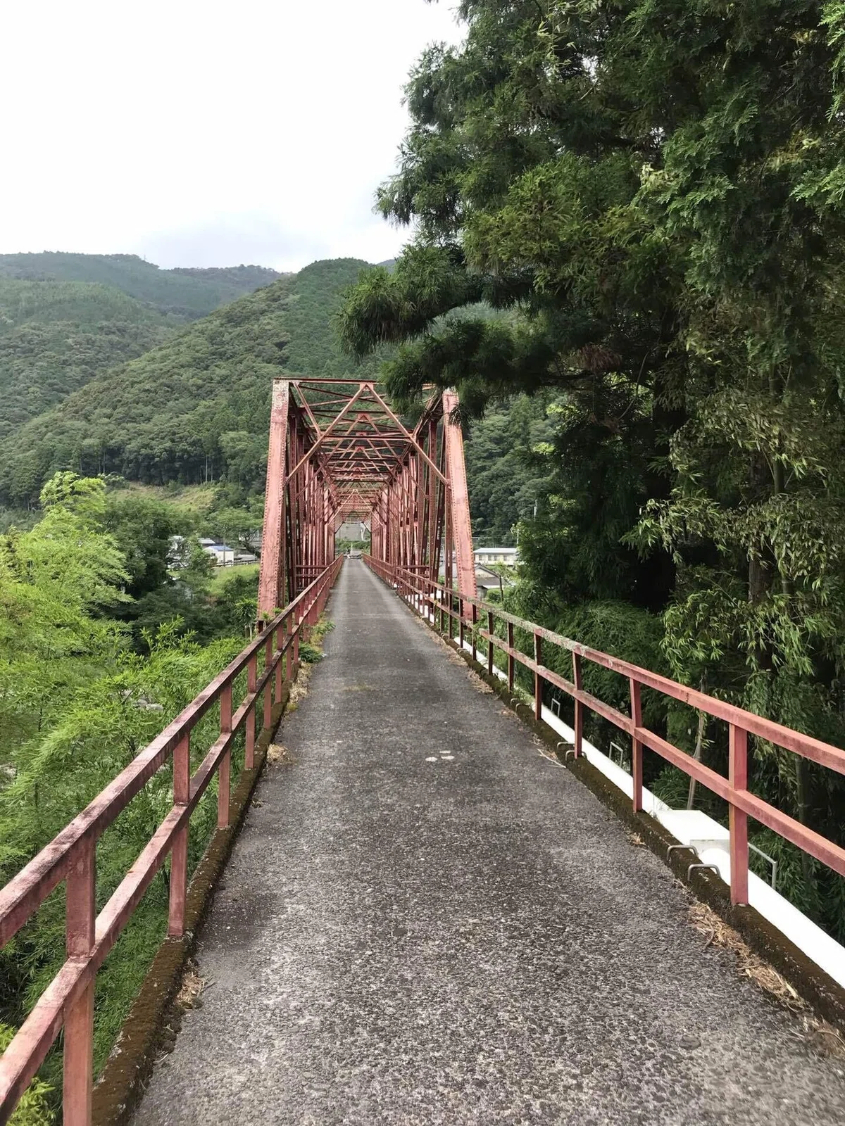 日本版「モネの庭」は、想像以上にモネの庭だった！（2025年8月、高知県北川村②〜徳島県①）｜ちろまき