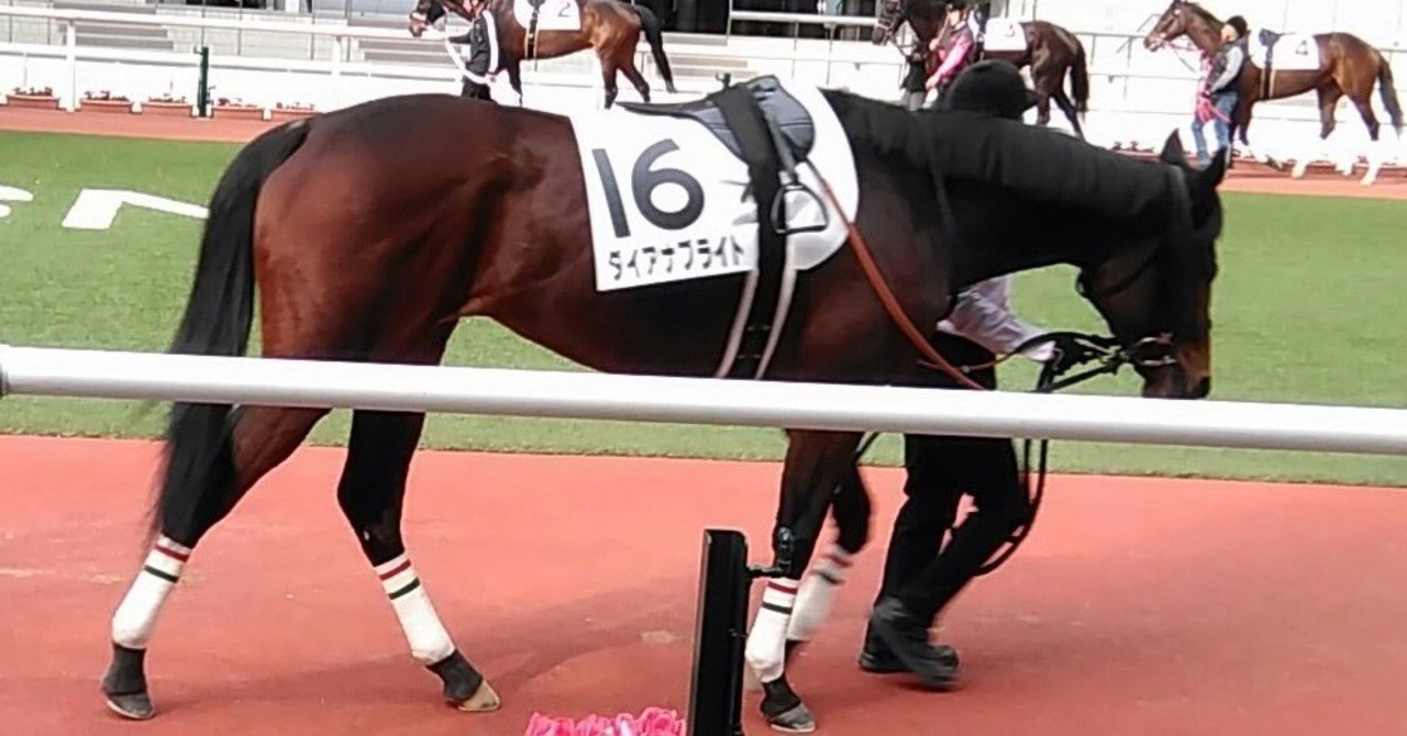 3/22（日） 阪神12R 1番人気馬｜JRDB 競馬アラカルト