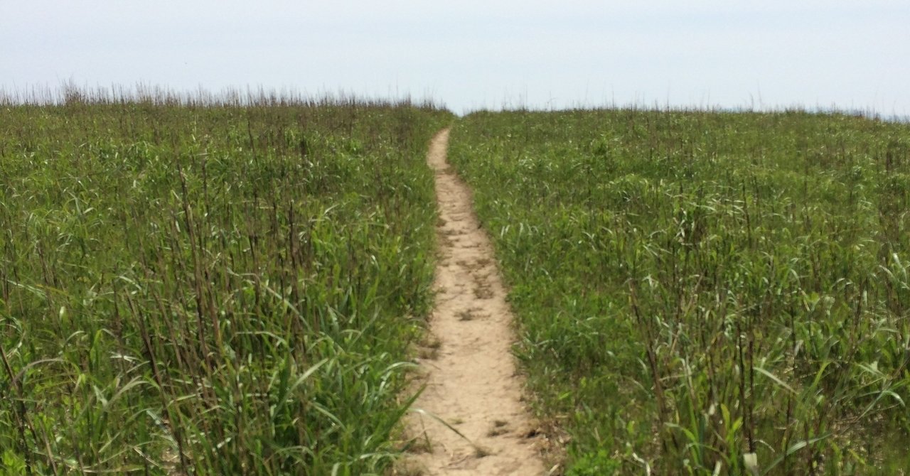 「Pave the Way」（道を拓く）のが発明塾～前職社長との縁｜楠浦崇央／発明塾 塾長 & TechnoProducer CEO