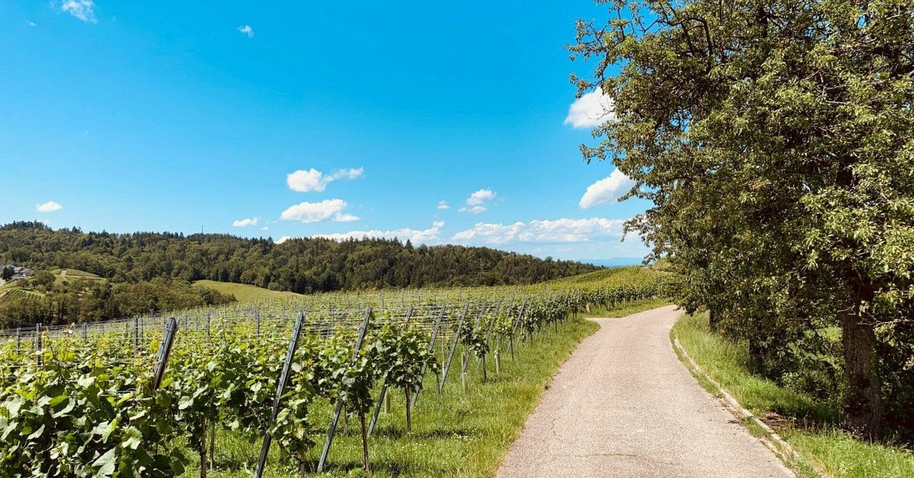 始まりは「反逆」だった。フランス・ナチュラルワイン運動の軌跡｜satoru-vin