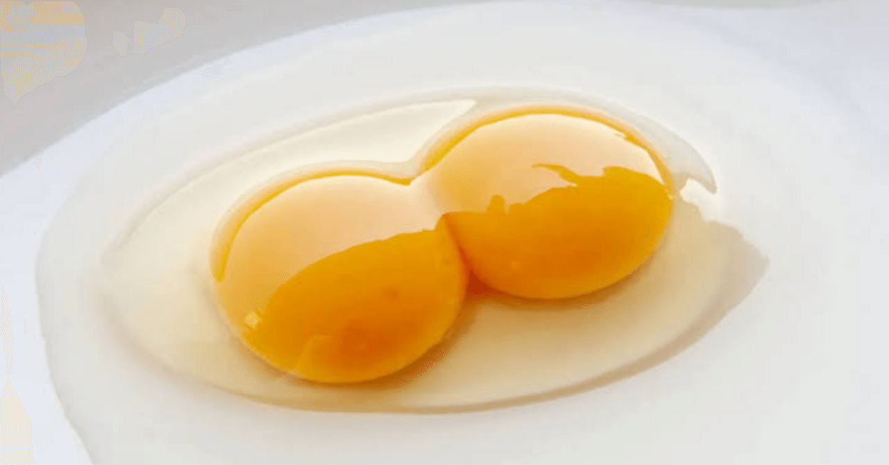 つかつはなれつ｜conoco