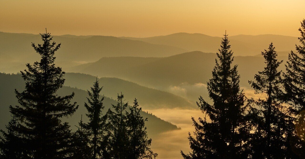 やっちまった…｜kanon