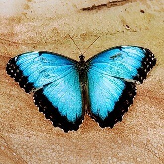 ナチュラルとは違う、計算されたゆるさの「抜け感」｜zan-shiro 🦋