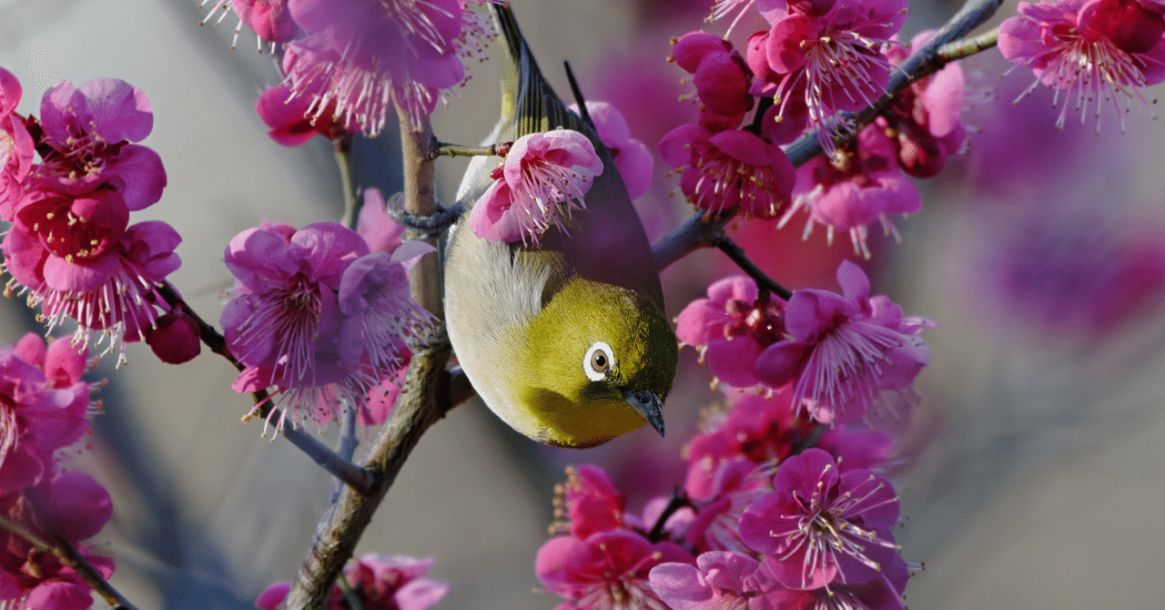 【雑記】写真を撮っていて嬉しい瞬間……？｜Yusuke Marianne