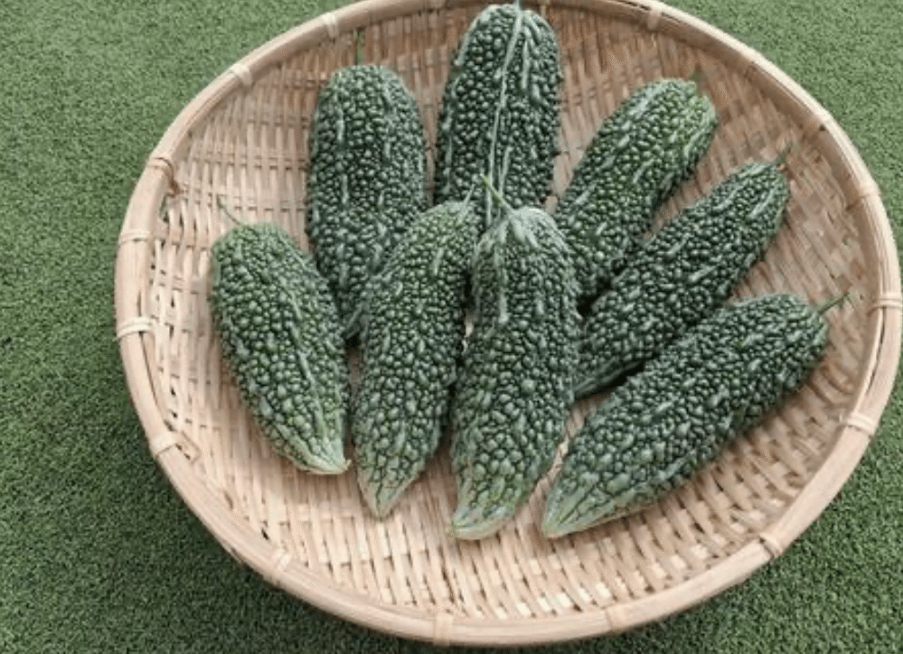 呪いの誕生日、ついに解禁！？（そしてなぜかゴーヤが主役）｜eri_afterrain