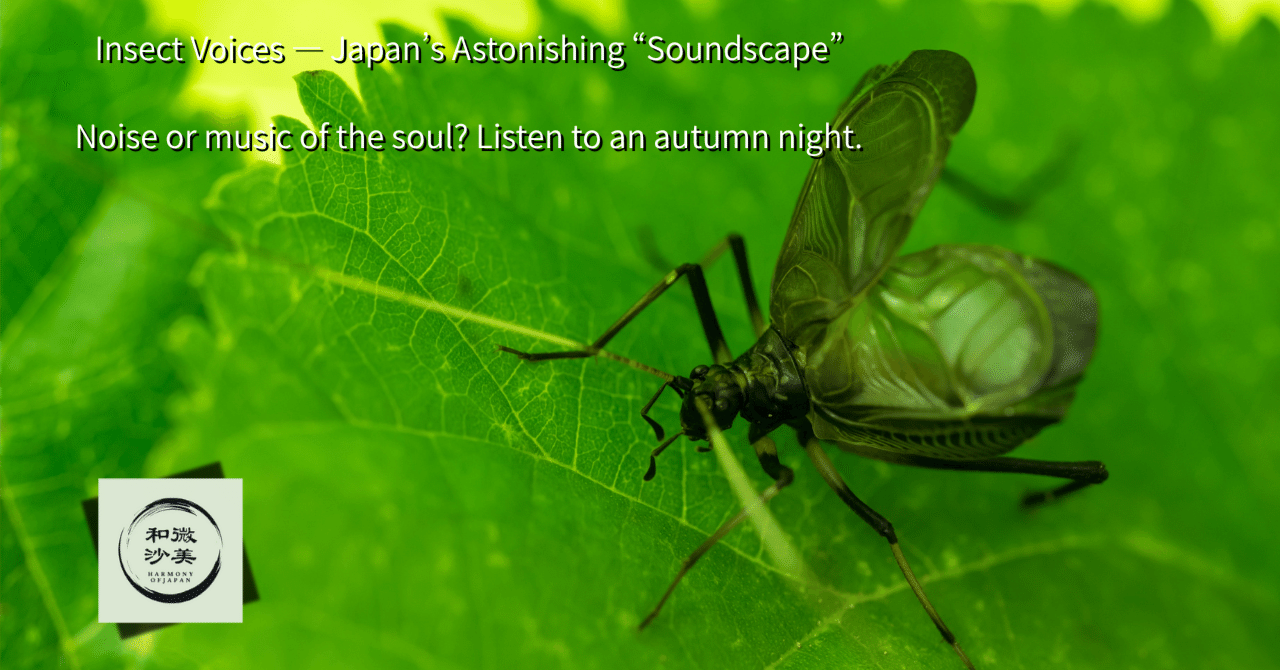 Insect Voices — Japan’s Astonishing “Soundscape”｜和の季節便り｜辻脇崇