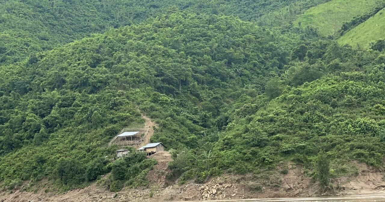 予定変更 川旅を癒す楽園バークベン｜🌿heaven area／自由と命を耕す人