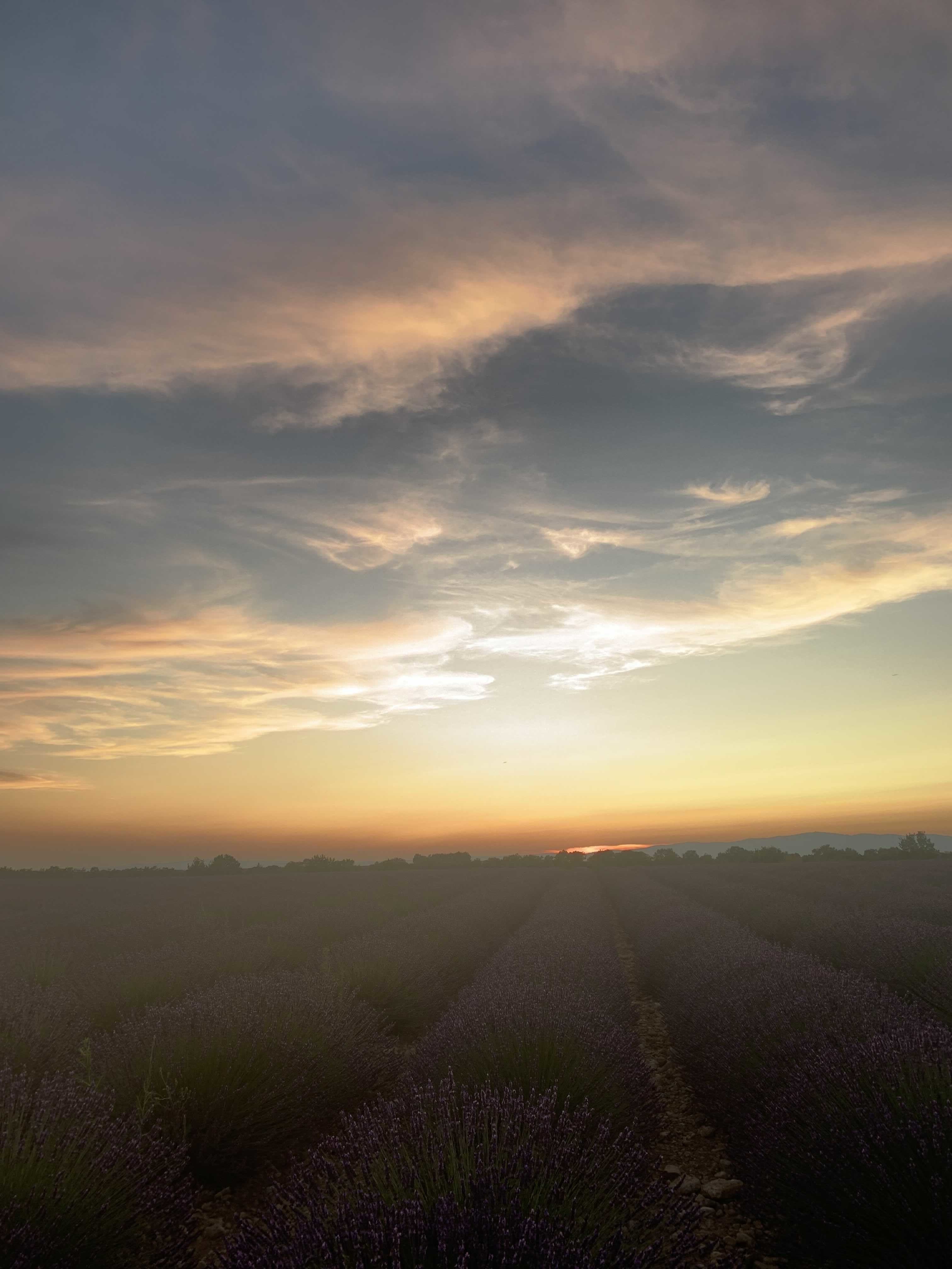 Yusuke Masuda / Parfumeur｜note