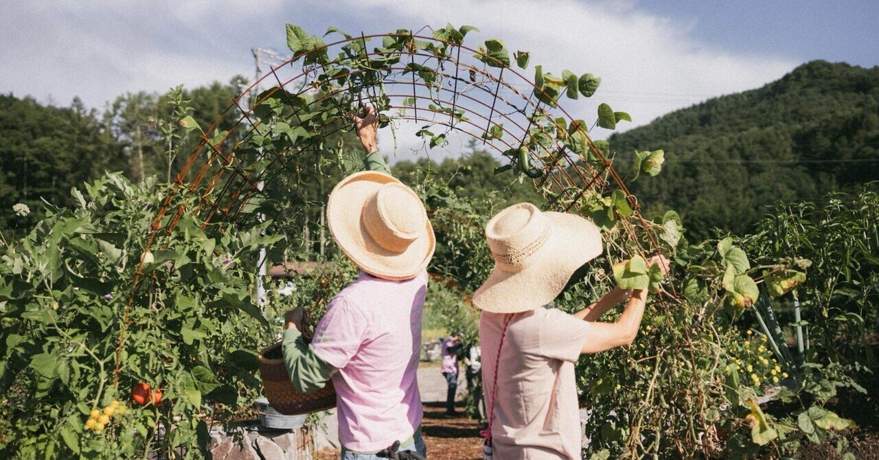 カブトムシはエライ👍｜Dan Takuma