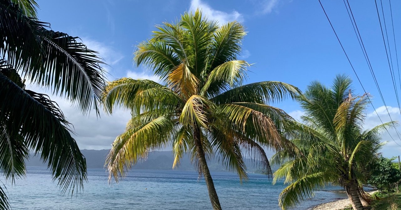 臥して待つ──南海夜戦之記(Two Nightmares)｜Aya SEA｜note創作大賞2025応募中