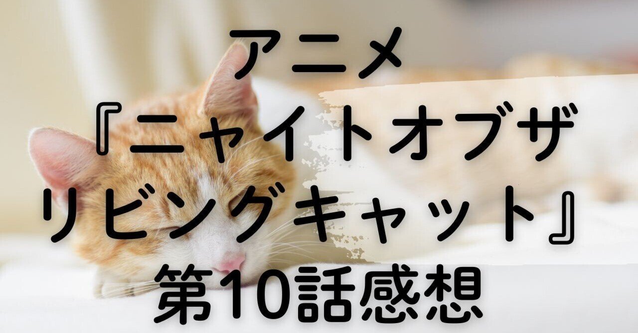 『ニャイトオブザリビングキャット』第10話感想｜砦を襲う新たな脅威とツツミの再会｜kao