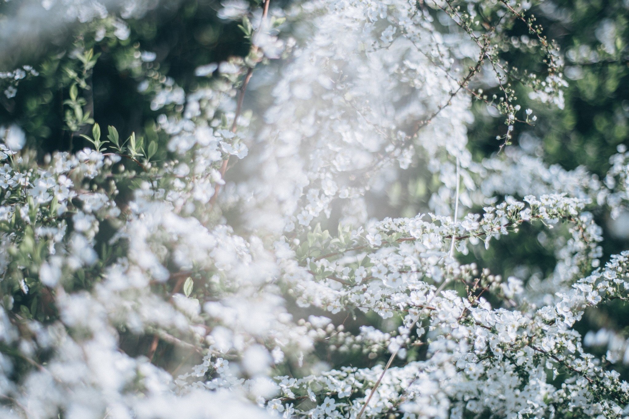 ゆりち👼🏻｜note