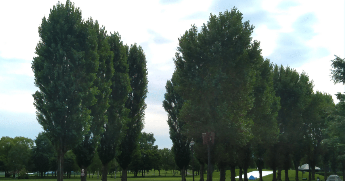 シェディングに界面活性剤は役に立つのか？｜Shokky