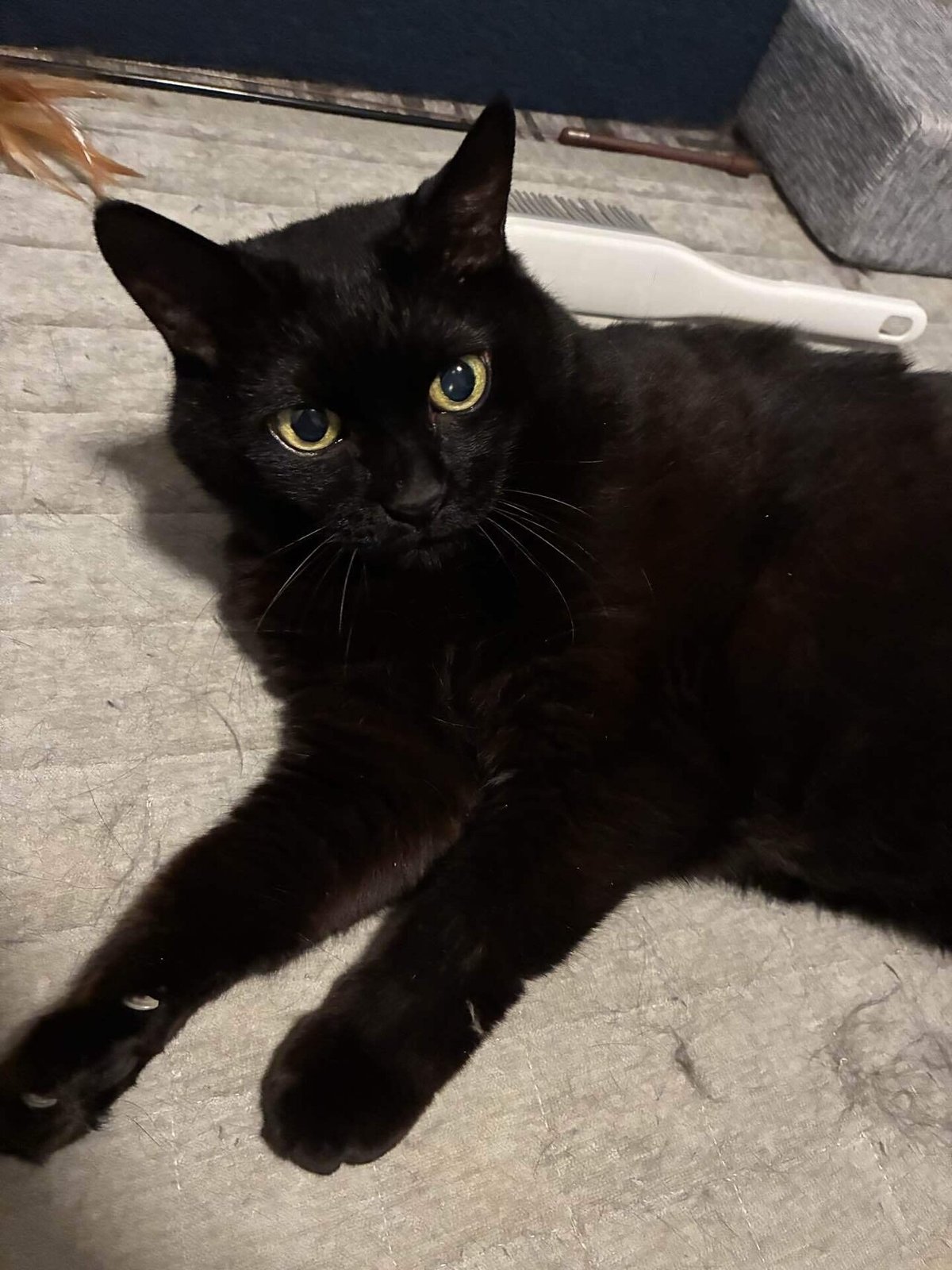 ナイトレインの新モード「深き夜」でわからされた件｜unitason