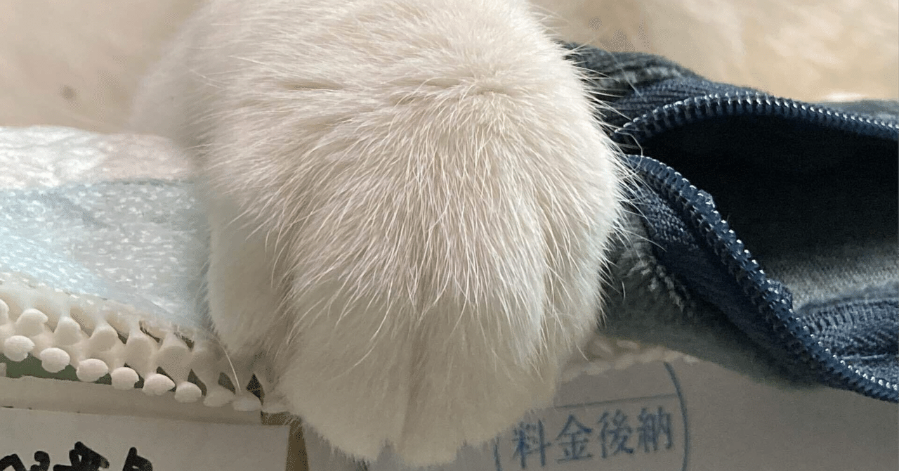 モーさんの中国の歴史散歩～Part1｜Moosan