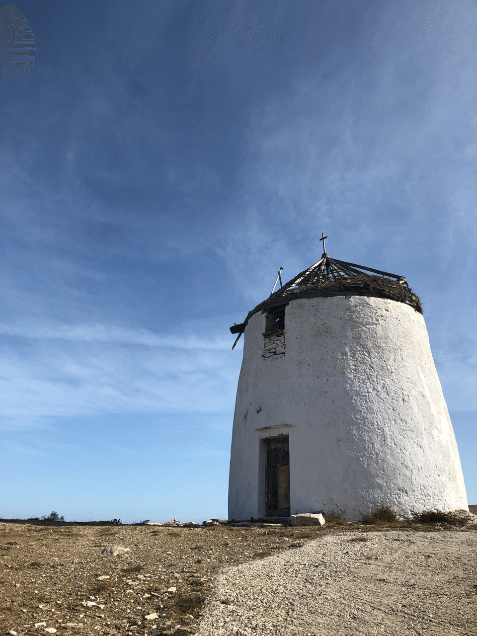 3月24日のジェラシー🌸｜裕木奈江 Nae Yuuki