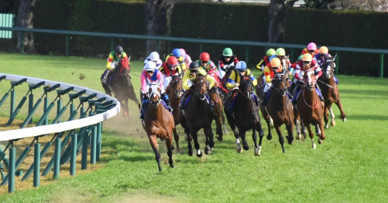 インゼルサラブレッドクラブ 2025募集馬(2024年産)AI馬体診断｜Koji Maeda