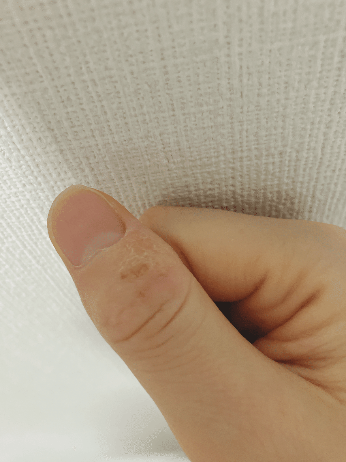 “不調＝ダメ” じゃない！ママの心を軽くする「重ね煮の知恵」｜kasaneni_shima