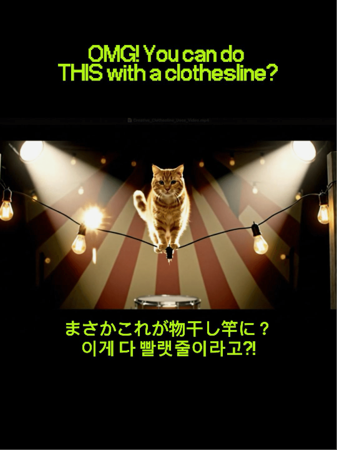 日常の物干し竿の感動的な変身！予期せぬ使い方で生活に喜びを加えるThe heartwarming transformation of a ...