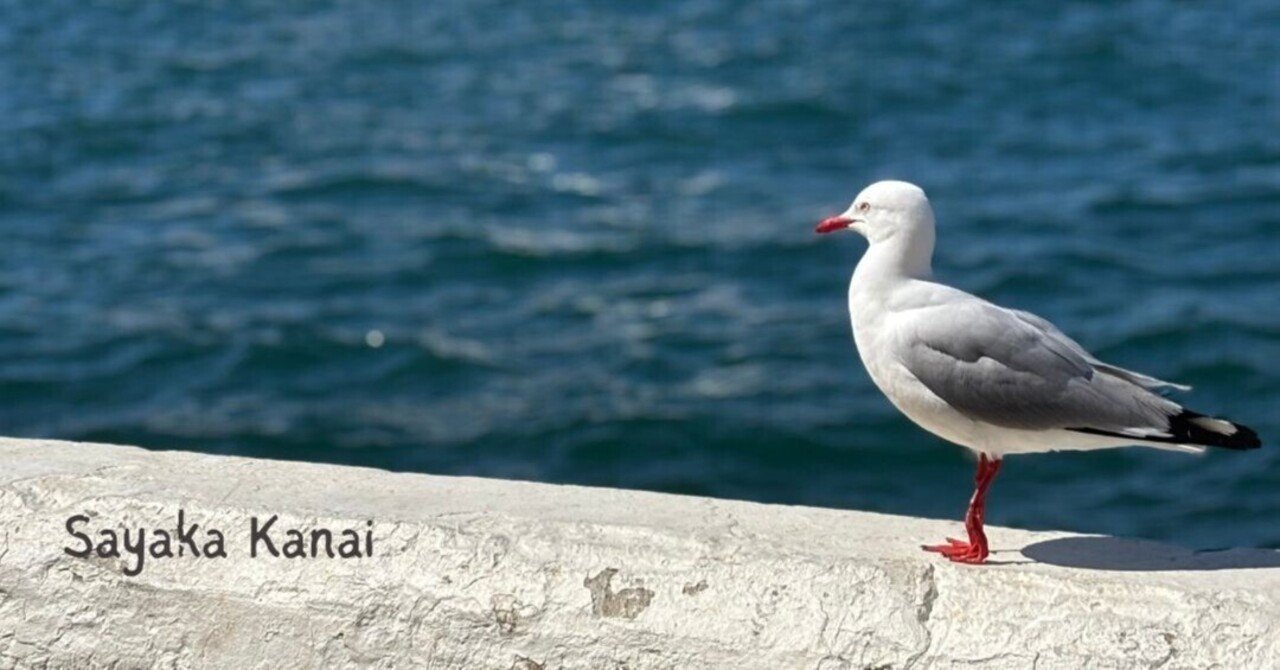 行動したから、撮れた一枚。｜Sayaka Kanai 金井さやか（元祖・TOEIC満点英語コーチ、イングリッシュキャンプの校長せんせい、「英語の先生の先生」）