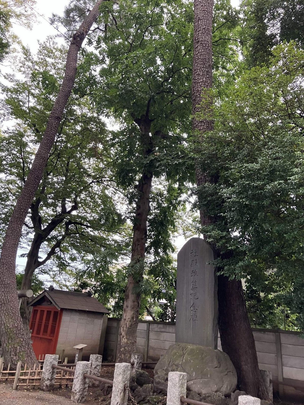 練馬の風景〜 北野神社のムクロジ Scenery of Nerima 〜 Soapberry tree at Kitano Shrine｜Chubby in Nerima
